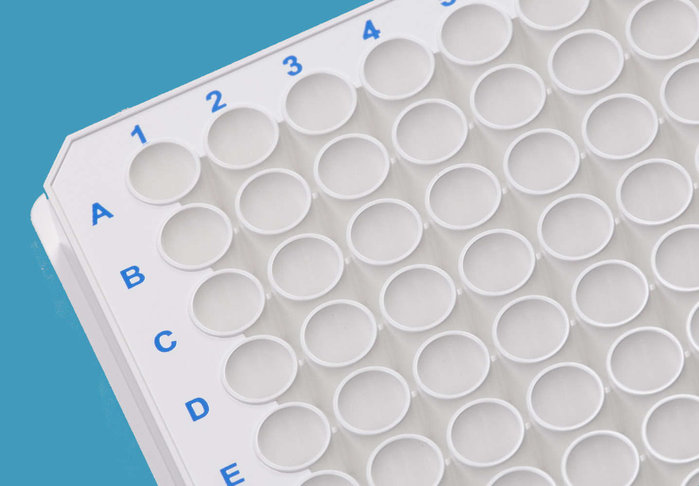 Well Plate Format 96 Well 384 Well 1536 Well Microplates