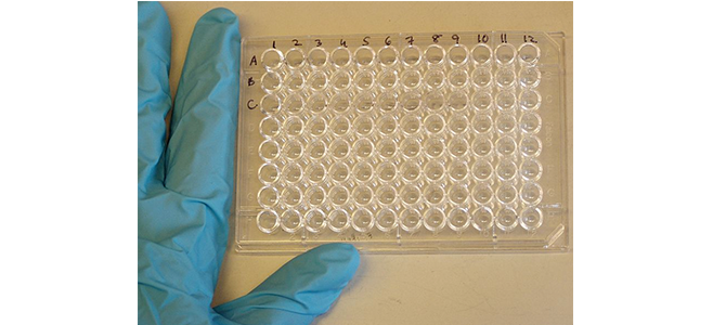 What Is A Well Plate?